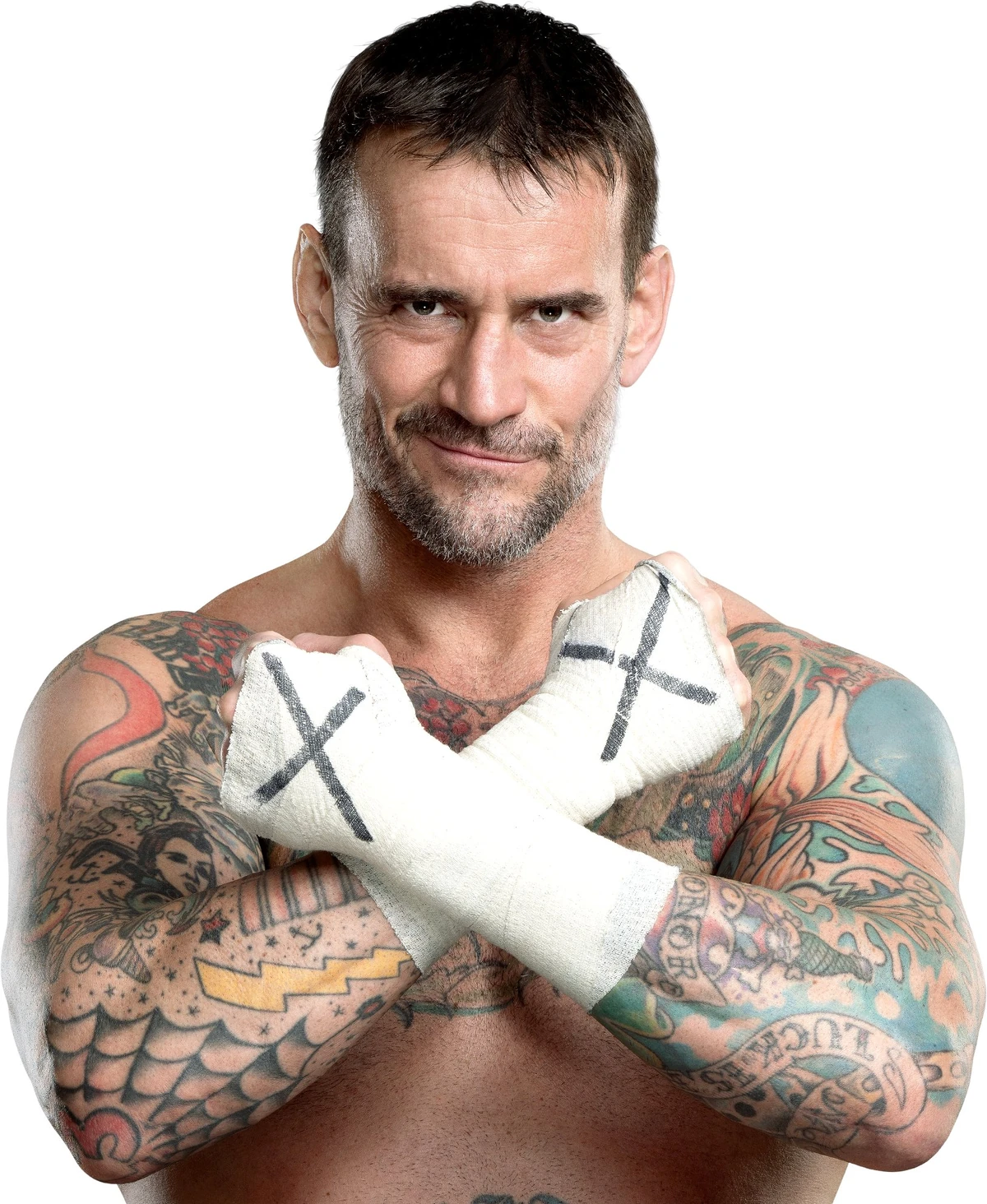 CM Punk | BWWE Wiki | Fandom
