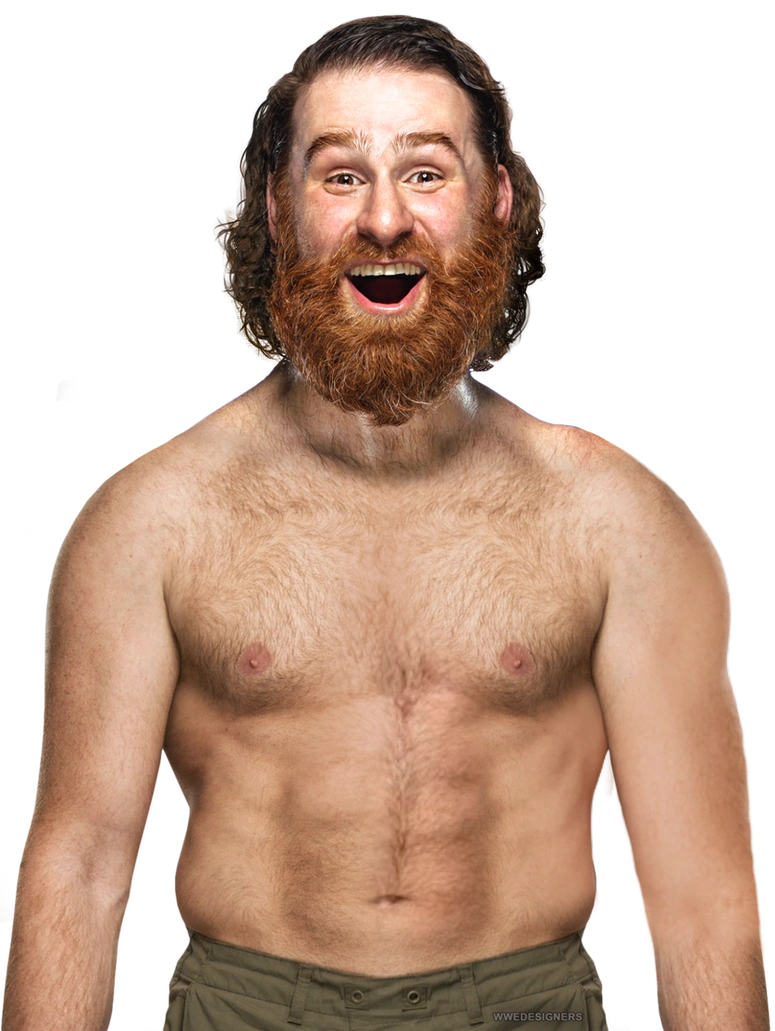 Sami Zayn Png