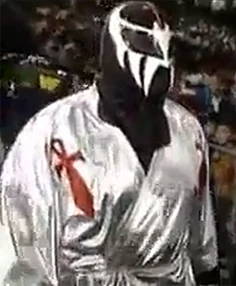 Super Ninja | BWWE Wiki | Fandom
