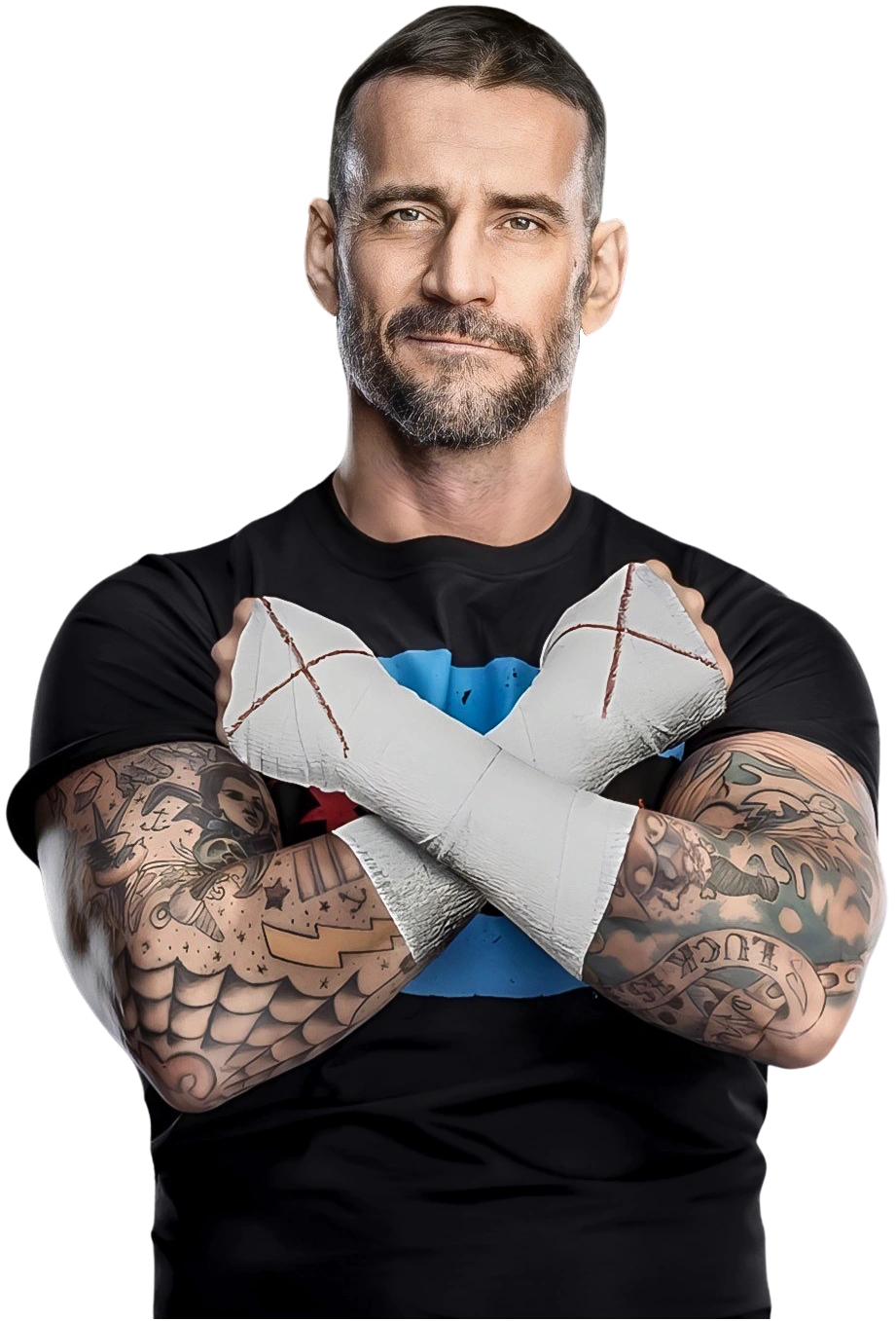 CM Punk | BWWE Wiki | Fandom