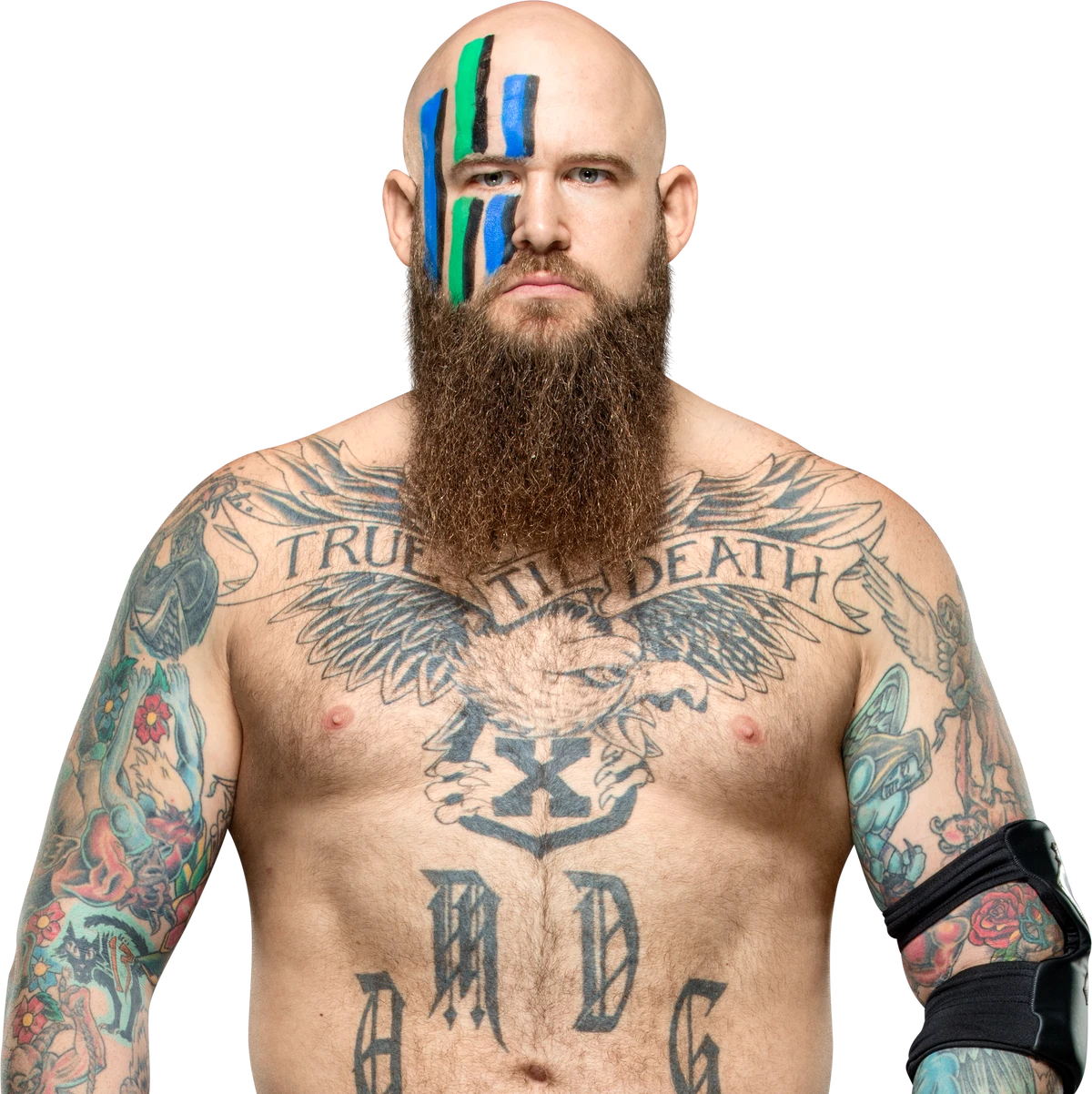 Erik | BWWE Wiki | Fandom