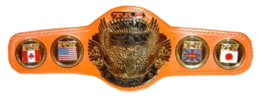 ECW FTW Championship | BWWE Wiki | Fandom