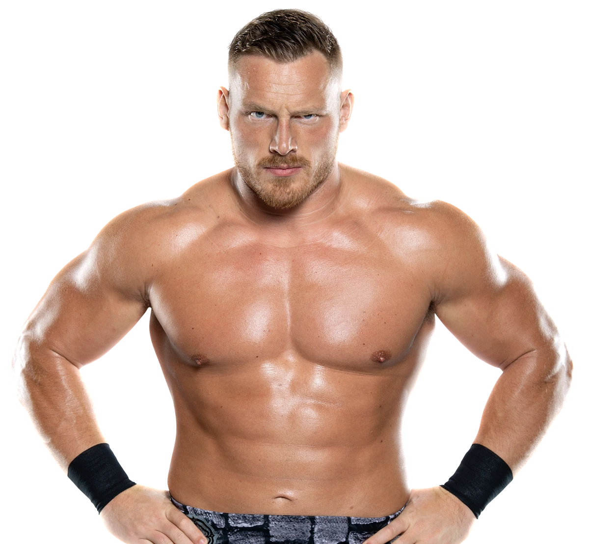 Ridge Holland | BWWE Wiki | Fandom