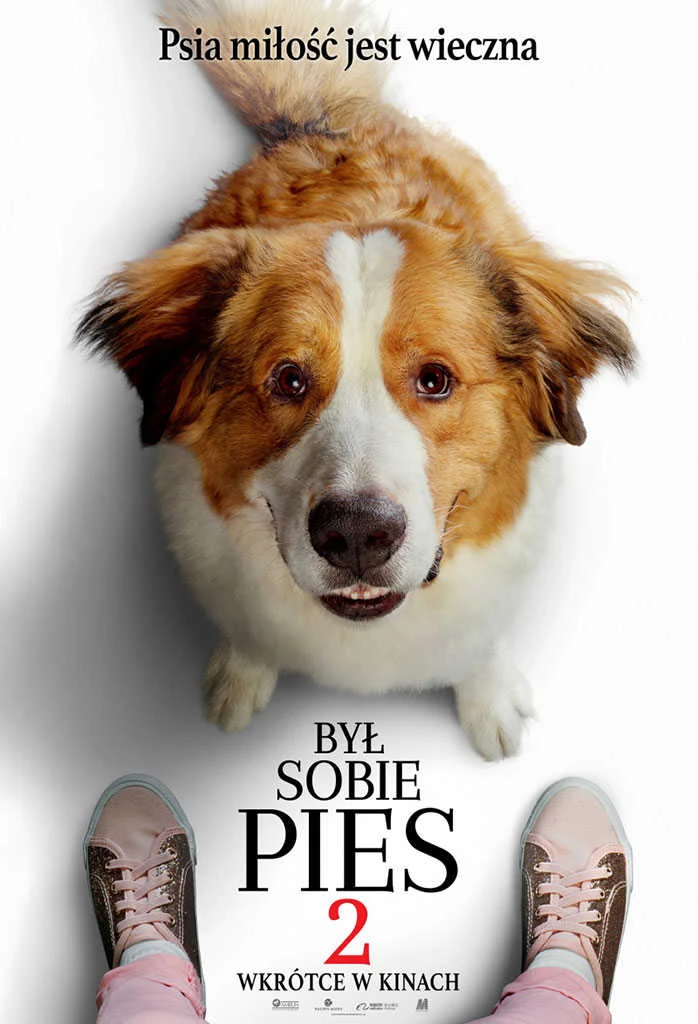 Był sobie pies 2 (film) | Był sobie pies Wiki | Fandom