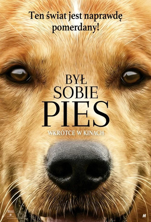 Był sobie pies (film) | Był sobie pies Wiki | Fandom