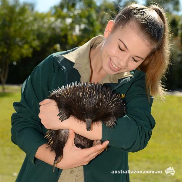 Bindi Irwin | Byronfanmademake2004 Wiki | Fandom