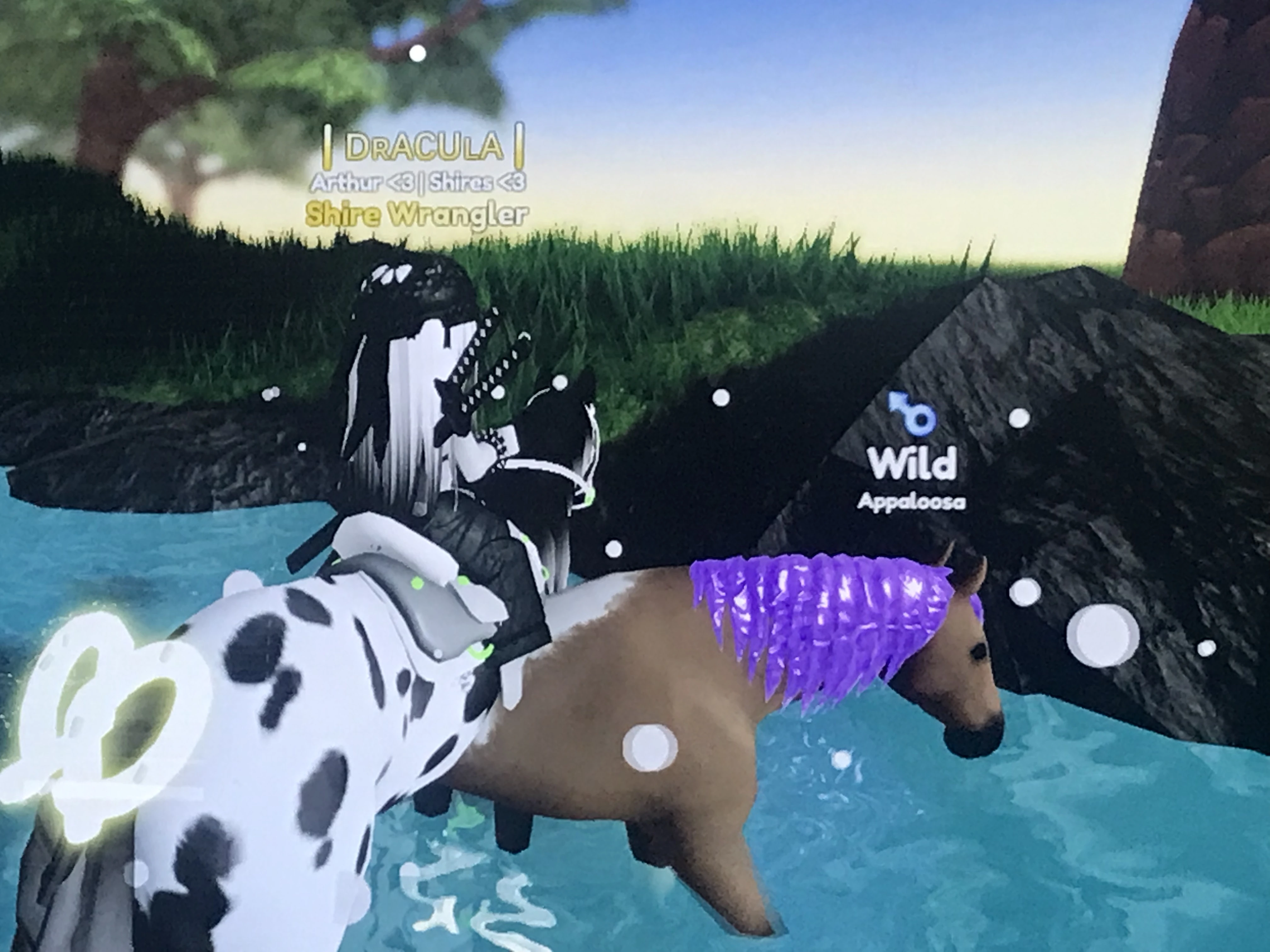 First catch of the boost