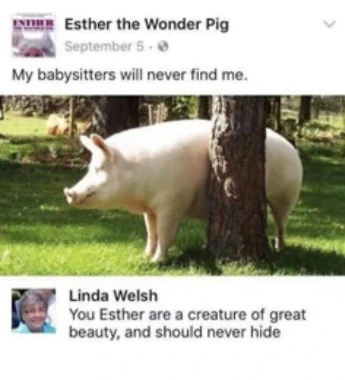 Esther.png | Fandom