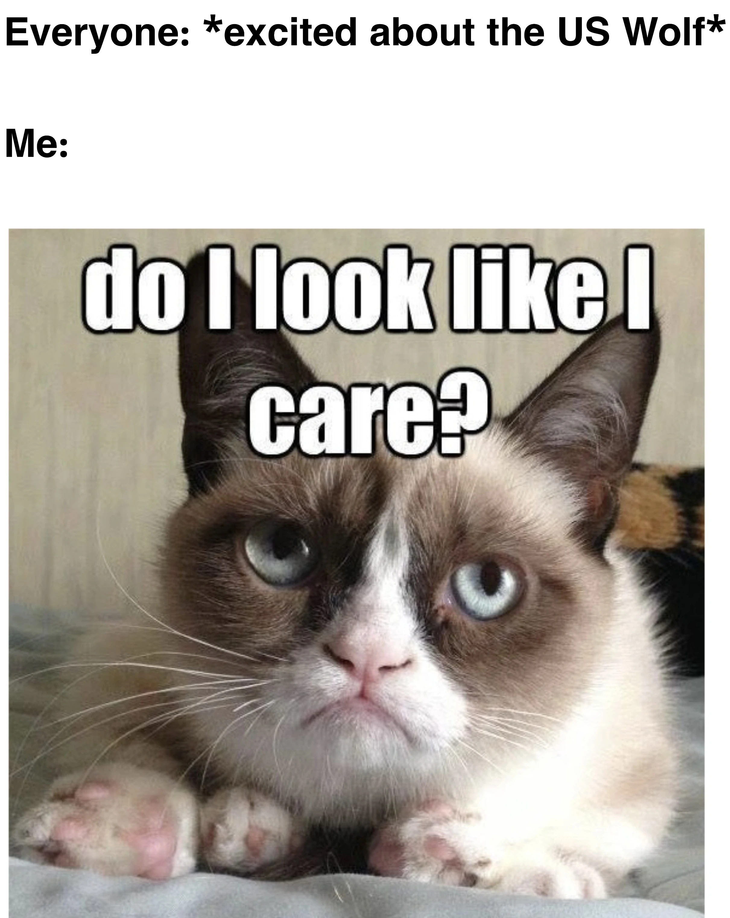 DEFINITELY NOT THE MOST OVERHYPED MASK EVER!!! | Fandom