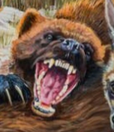 WDLYM: Gigantic Prehistoric Mustelids | Fandom