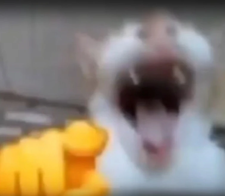 2026 Thread | Fandom