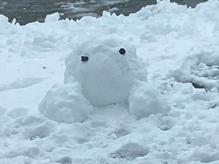 It’s finally snowing | Fandom