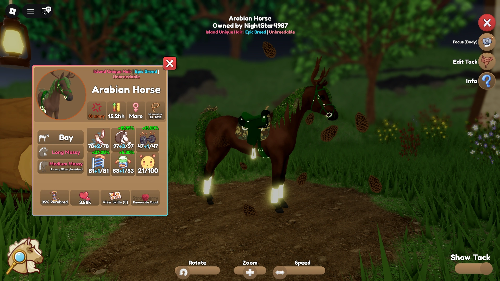 LF horned black rabicano arabs! | Fandom