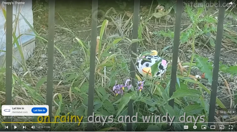 Ah yes the Ming cat | Fandom