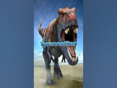 Everyone point and laugh | Fandom