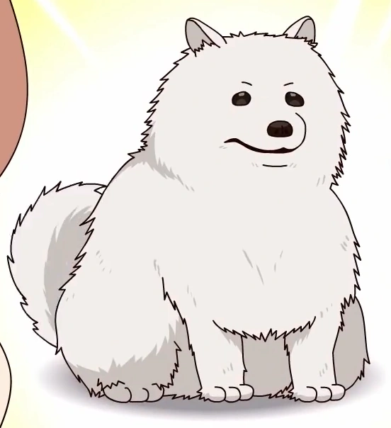 samo-chan appreciation post | Fandom