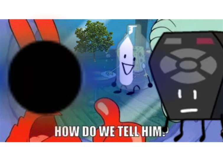 my old bfb au in a nutshell | Fandom