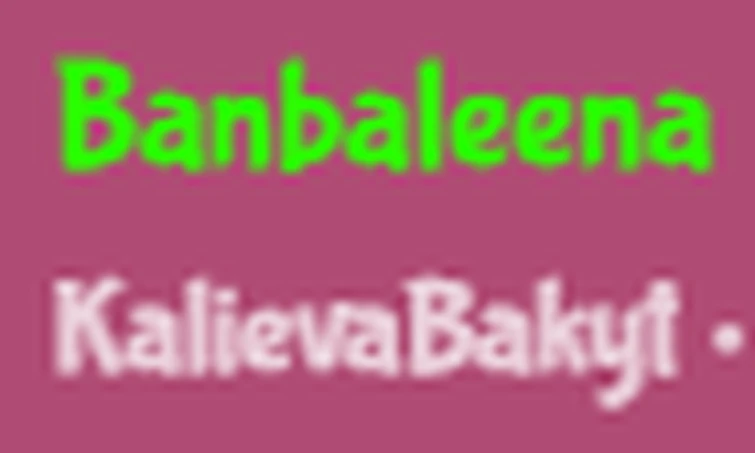 vandalizer | Fandom