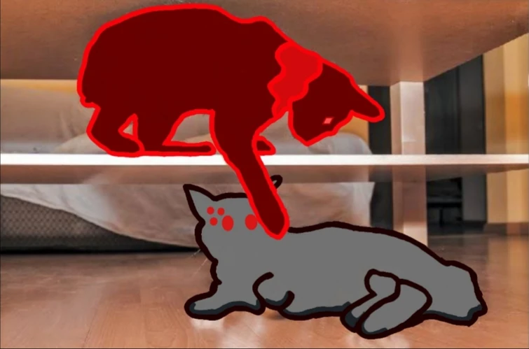 A New Cat Appears... (Part 5 of Misleading Light Cat) | Fandom