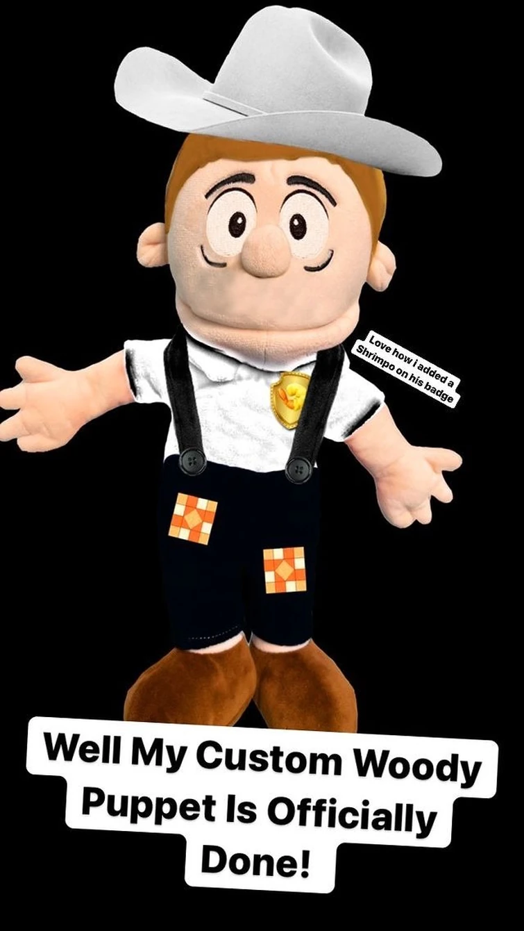 New Woody puppet fan made | Fandom