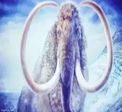 we need an elephant creature | Fandom