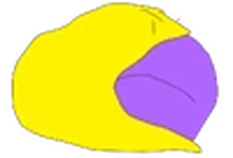 Discuss Everything About Battle for Dream Island Wiki | Fandom