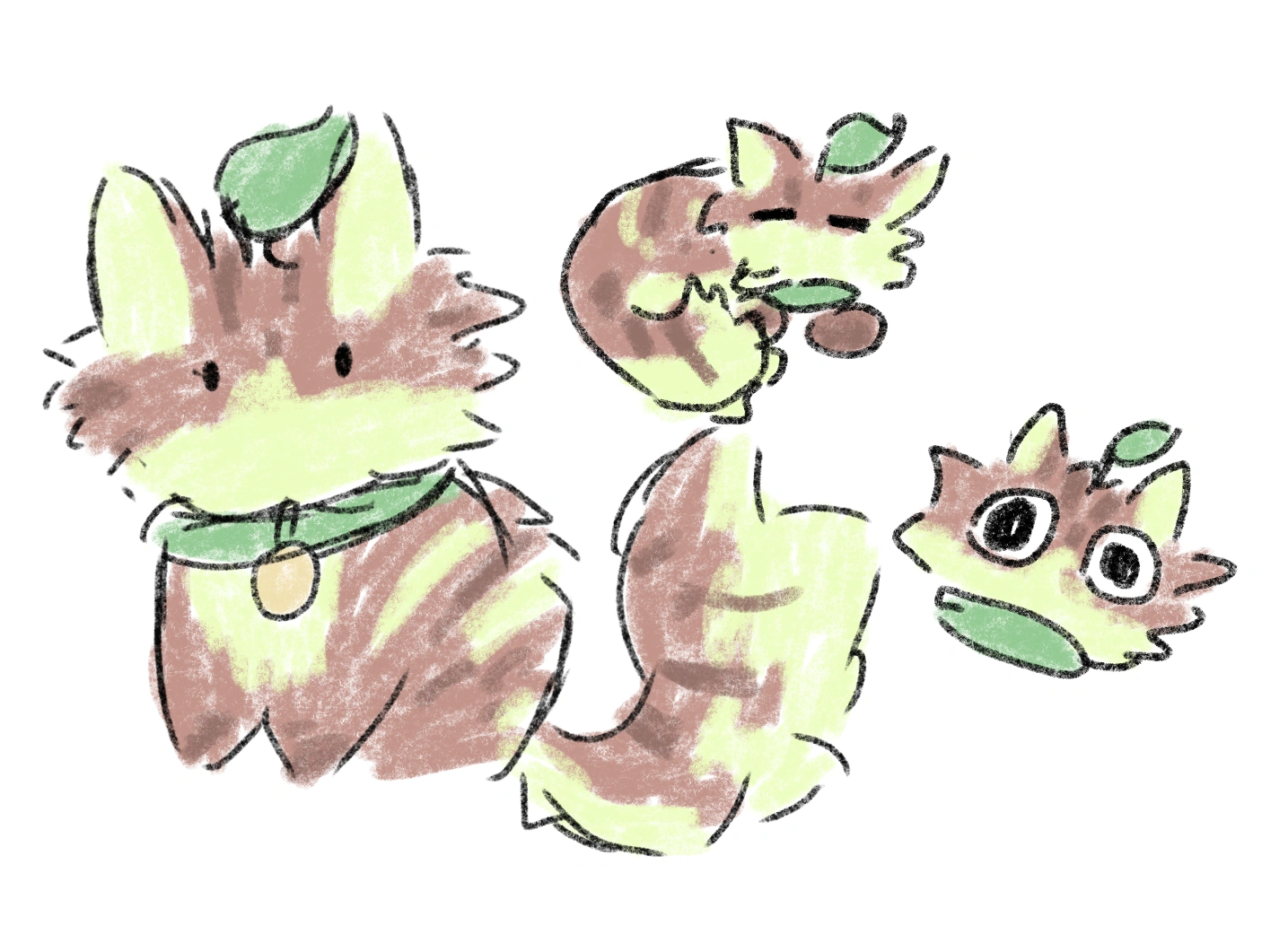 Acorn……..but cat | Fandom