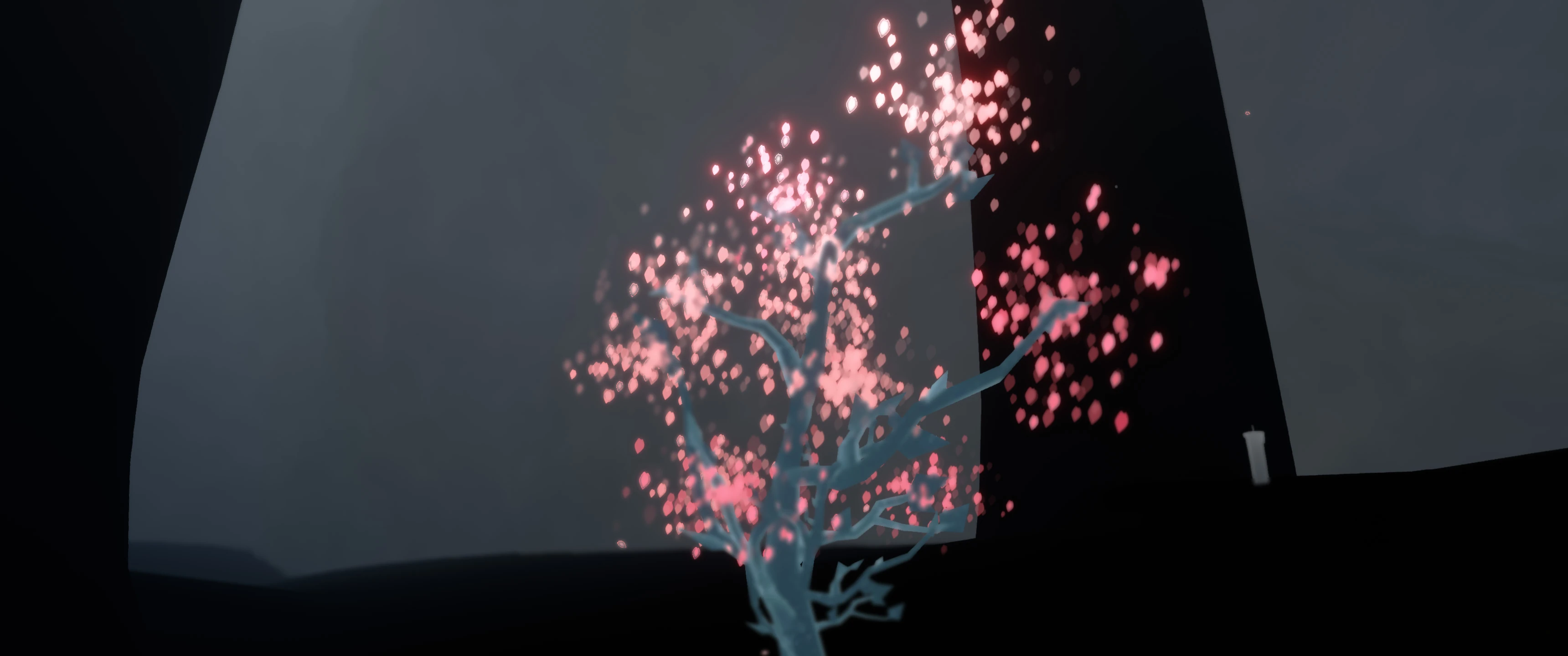 Sky Photo's! | Fandom