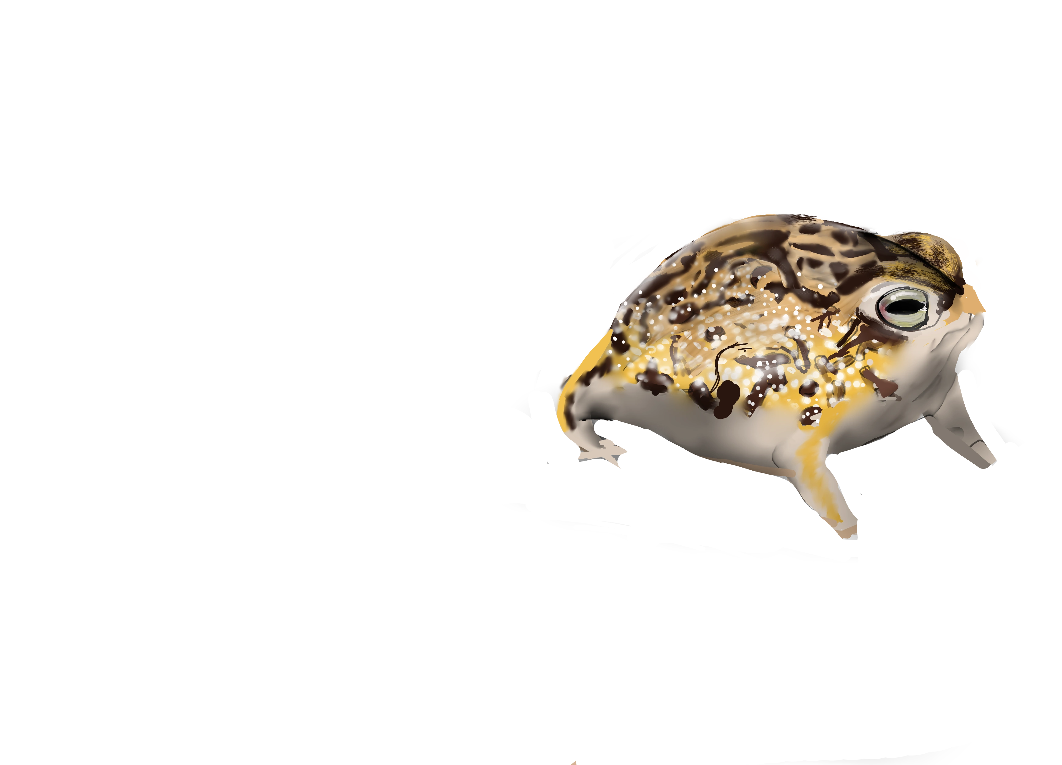 fromg again :D | Fandom