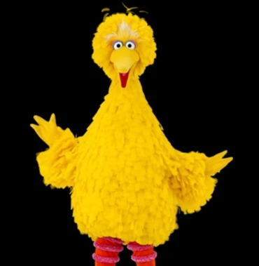 Muppet Bird Battle Who Wins? | Fandom