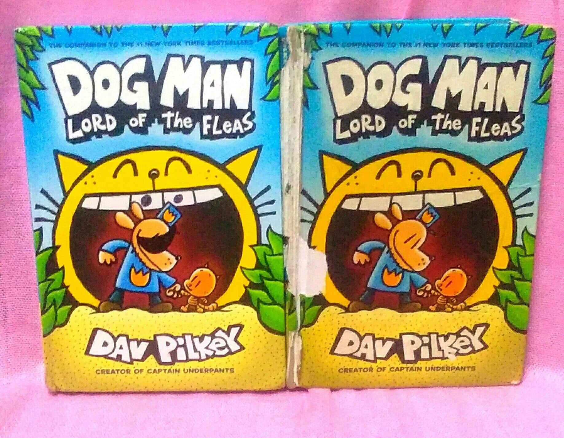 Why I have two copies of Dog Man: Lord of the Fleas? | Fandom