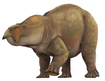 Discuss Everything About Dinopedia | Fandom