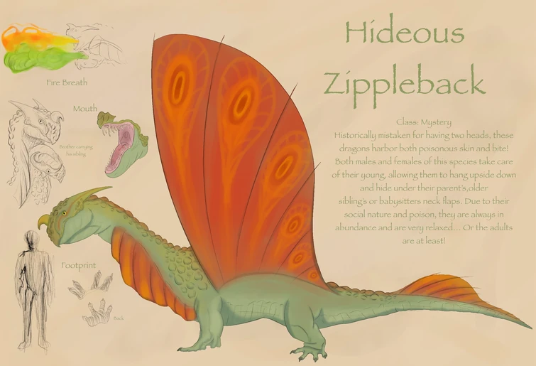 “Realistic” HTTYD Redesigns | Fandom