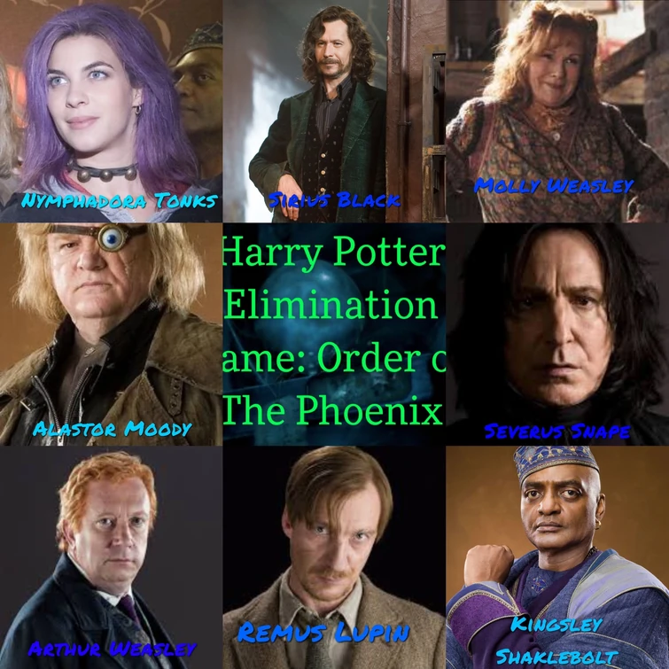 Harry Potter Elimination Game: Order of The Phoenix Edition | Fandom