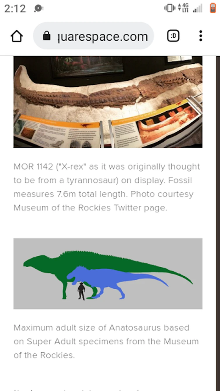 Why edmontosaurus would beat a T.Rex in a fight | Fandom