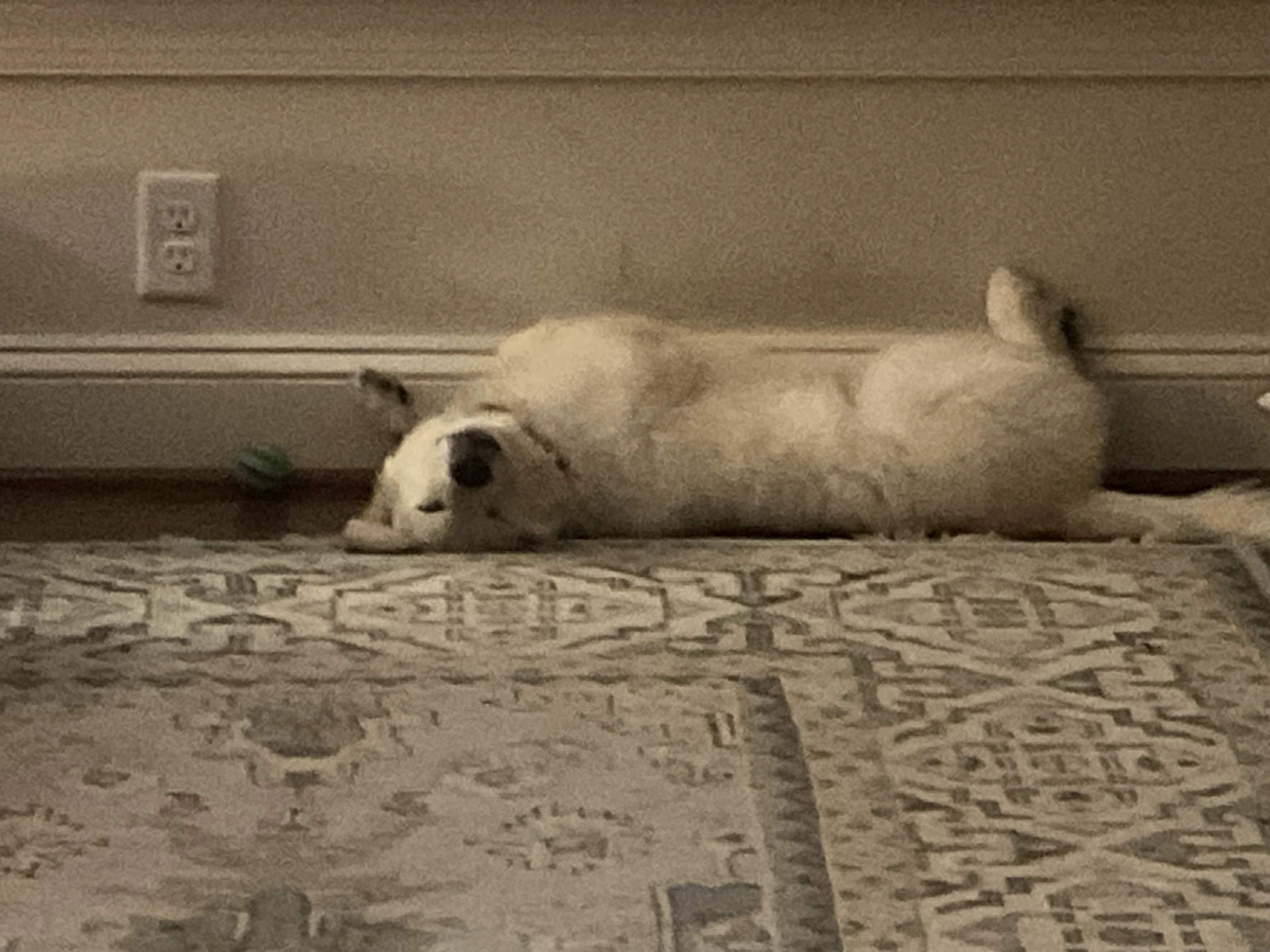 Give me canon characters to make HC refs for (TW: SCARS AND A LITTLE ...