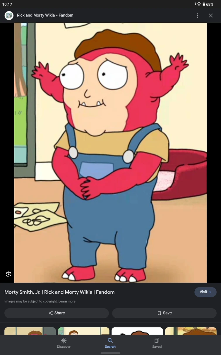Morty jr | Fandom