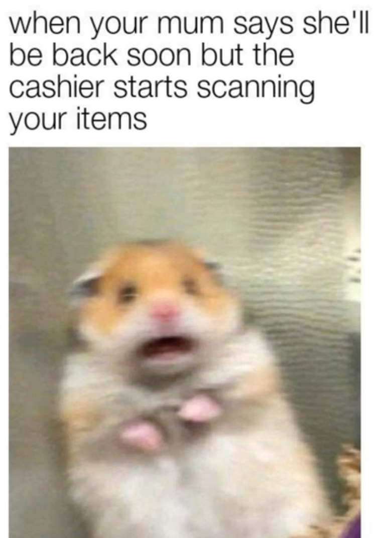 Posting Memes and Funny Random Stuff Until The End Of February Day 2 ...