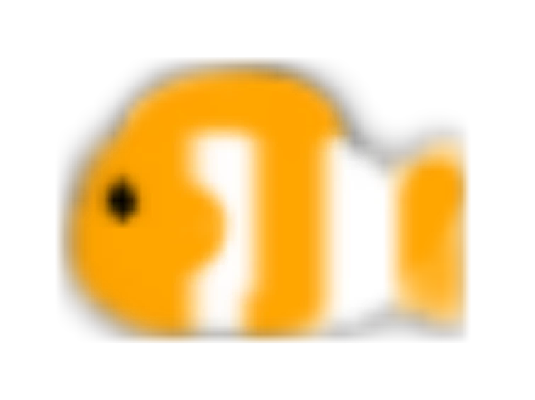 Fish | Fandom