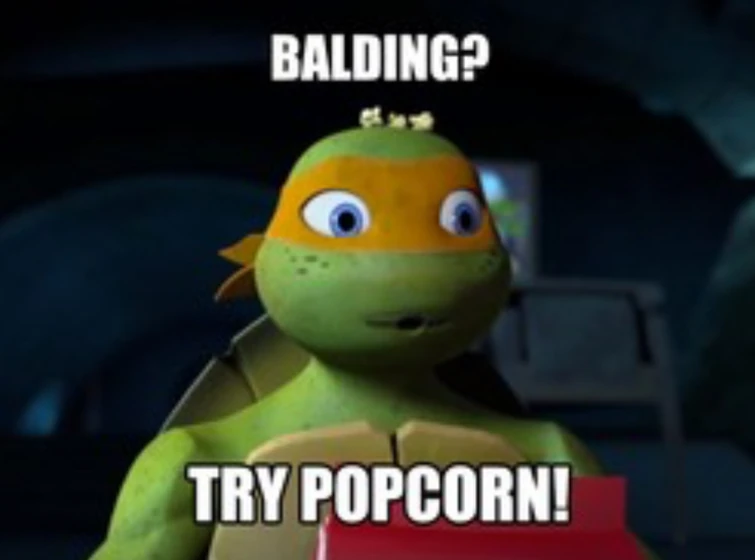TMNT Meme Of The Day | Fandom