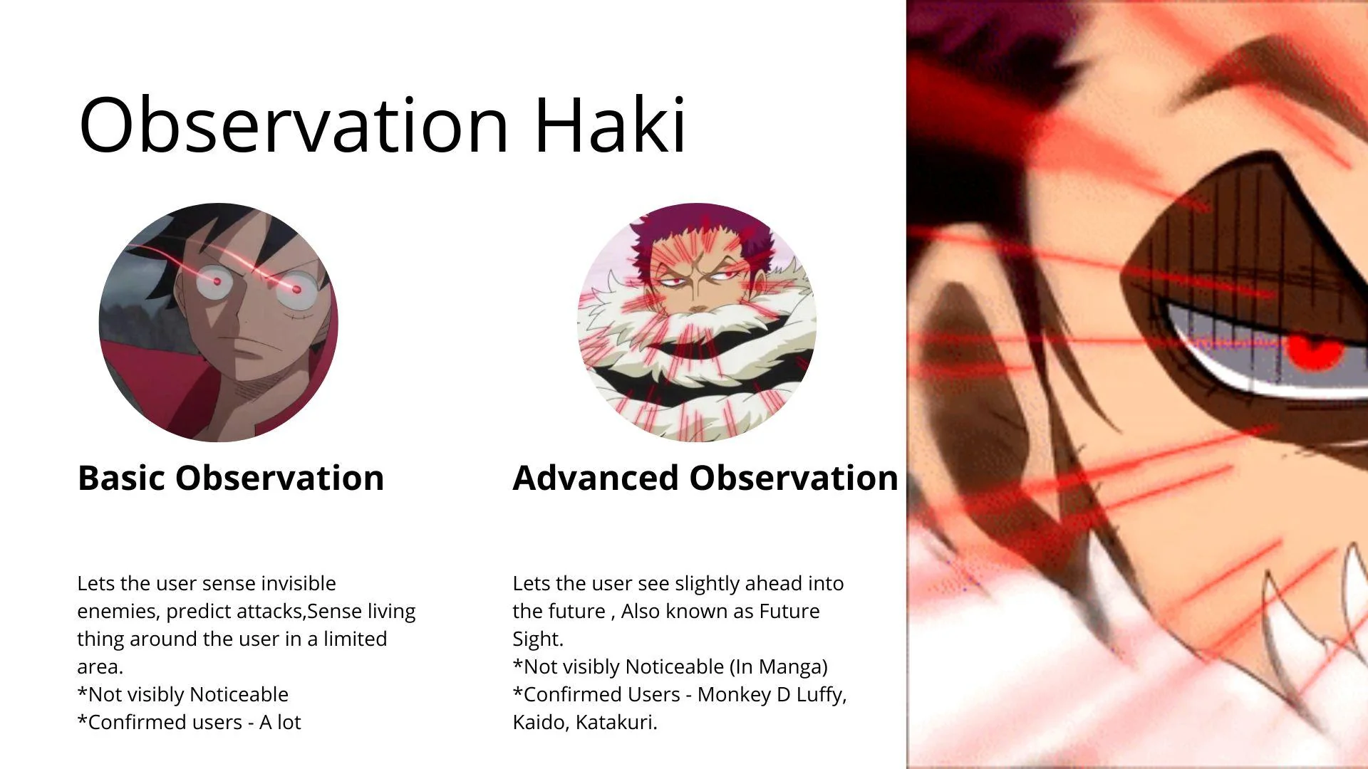 The Perfect Diagram to Understand Important Pirates and Haki Basic for ...