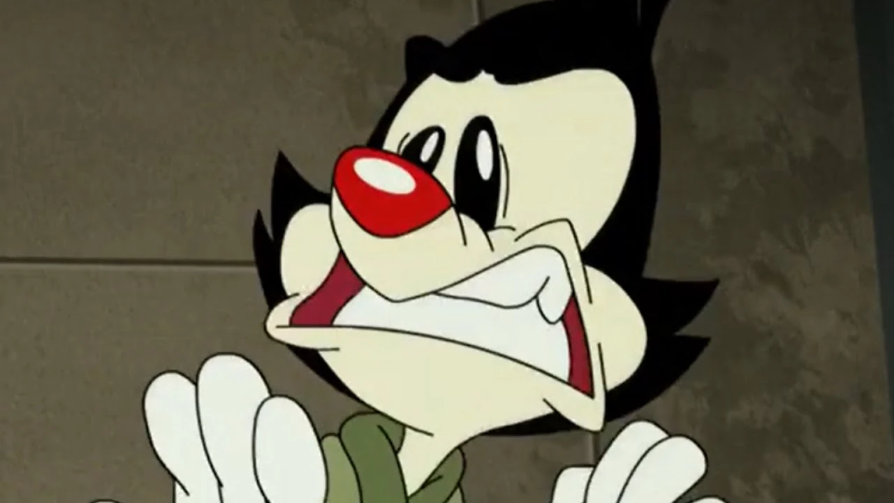 Yakko | Fandom