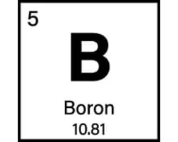 Boron Karacon | Fandom