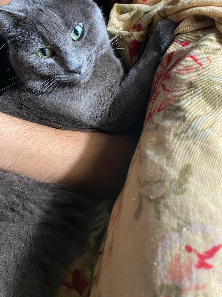 March Off Topic | Fandom