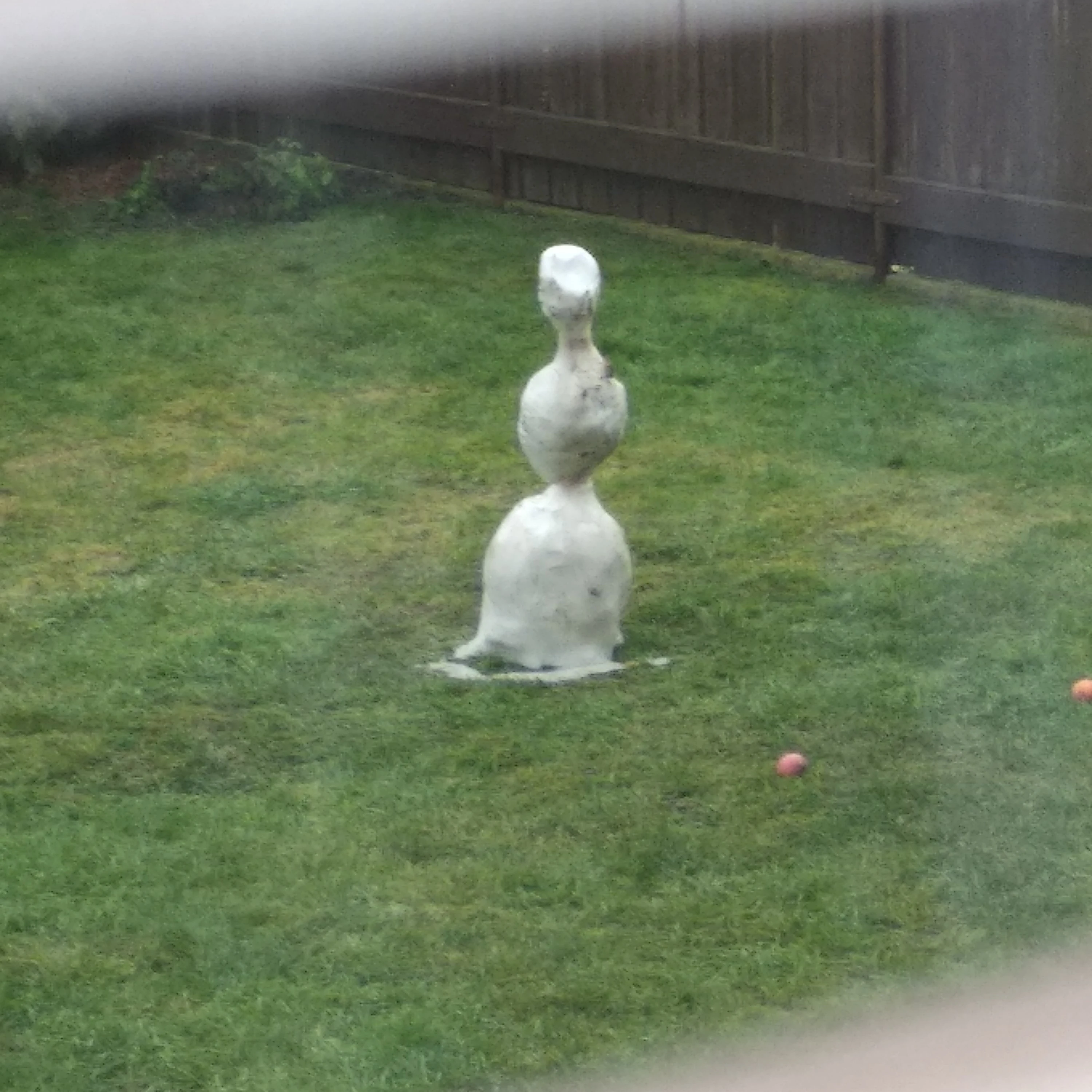 good morning!! | Fandom