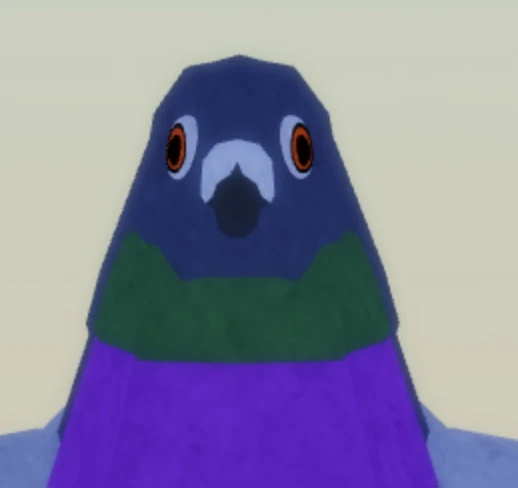 (Late) birds from the front view part 4!!! | Fandom