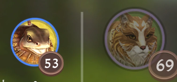 Leveling Pets | Fandom