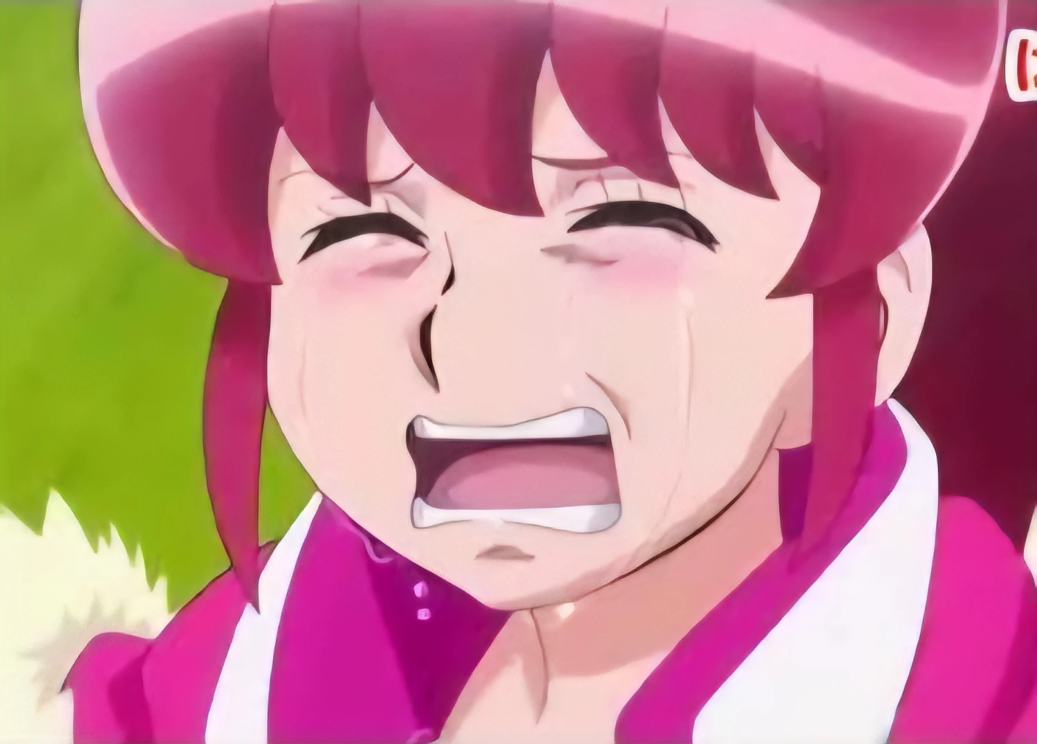 Who has the most "ugly crier" face in Precure | Fandom
