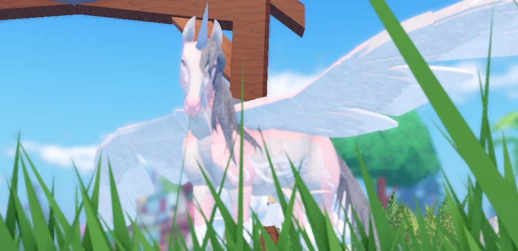alicorn!! | Fandom