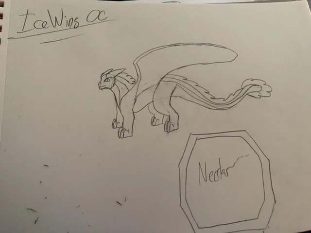 floofy lynx IceWing HC sketch | Fandom